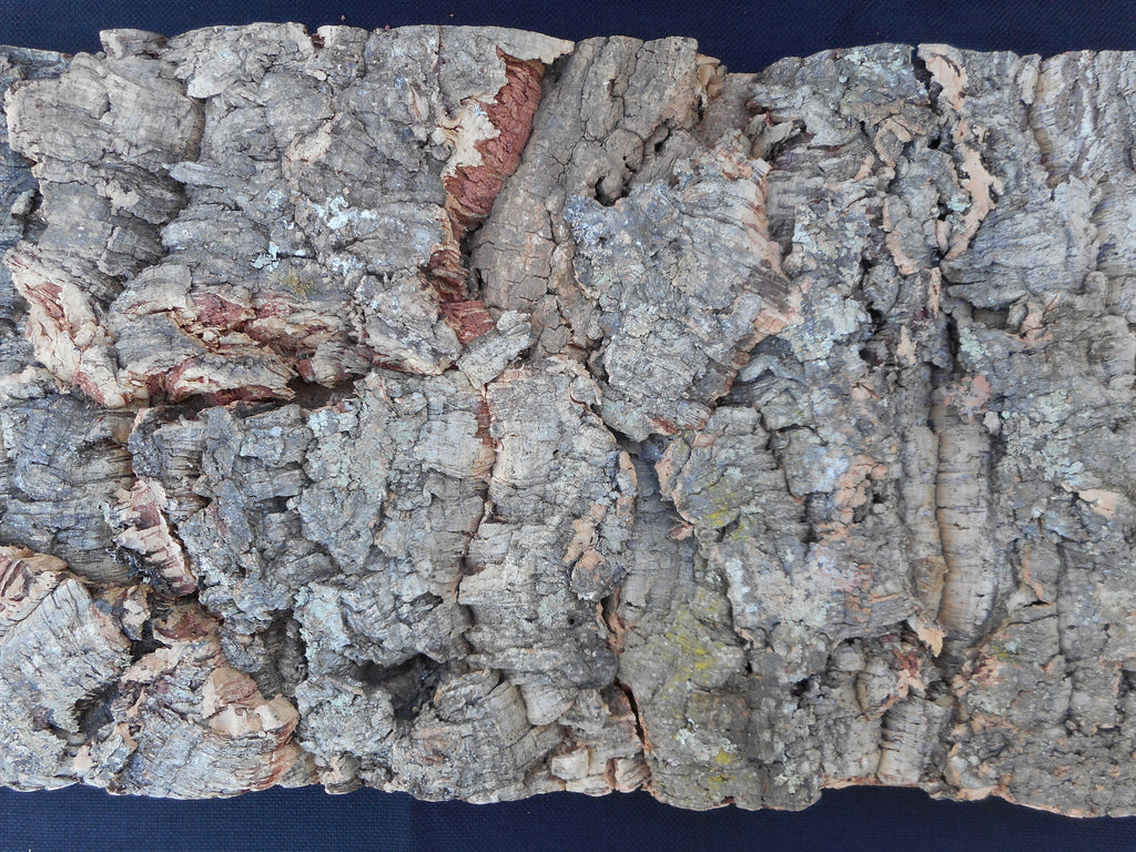 Tree Bark Cork Wall Tiles | Tree Bark Wall Covering Panels