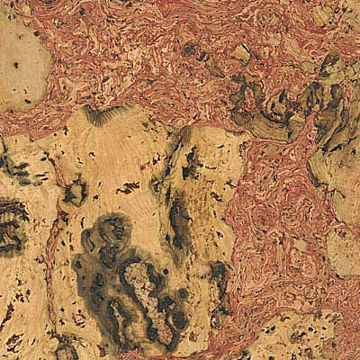 Cork Wall Tile Samples | Wall Tile Samples Online | AmCork